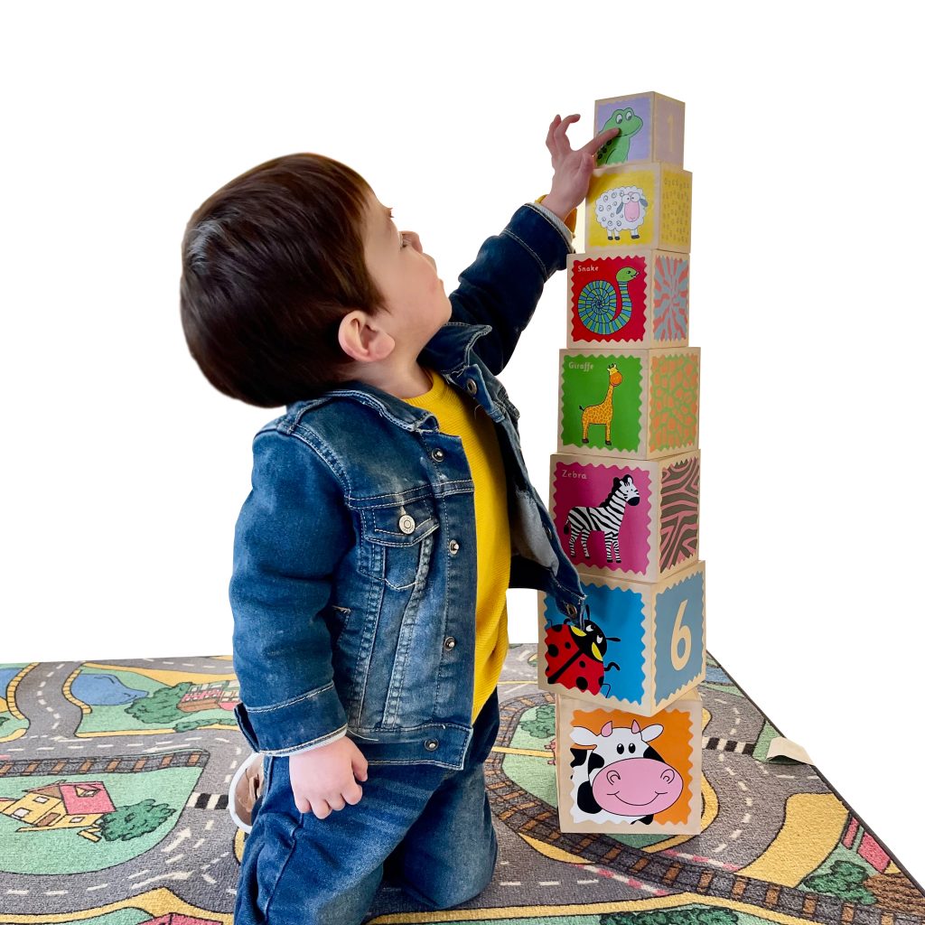 Set De Cubos Apilables - Seigard